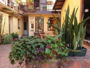 Mys Nadezhda minihotel (улица Генерала Дбар No:79, Гагра), otel  Gagra'dan