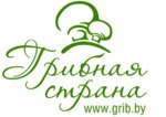 Pfe Gribnaya Strana (Centraĺnaja vulica No:18Б, ahraharadok Chaciežyna), mantar yetiştirme ve satış  Minskaya oblastından