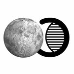 23mmoon Production (Leningradskoye Highway No:65с5, Moscow), video stüdyo ve çekim hizmetleri  Moskova'dan