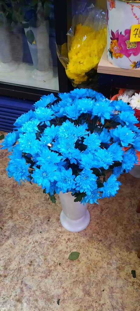 Çiçekçiler Цветы, Arhangelsk, foto