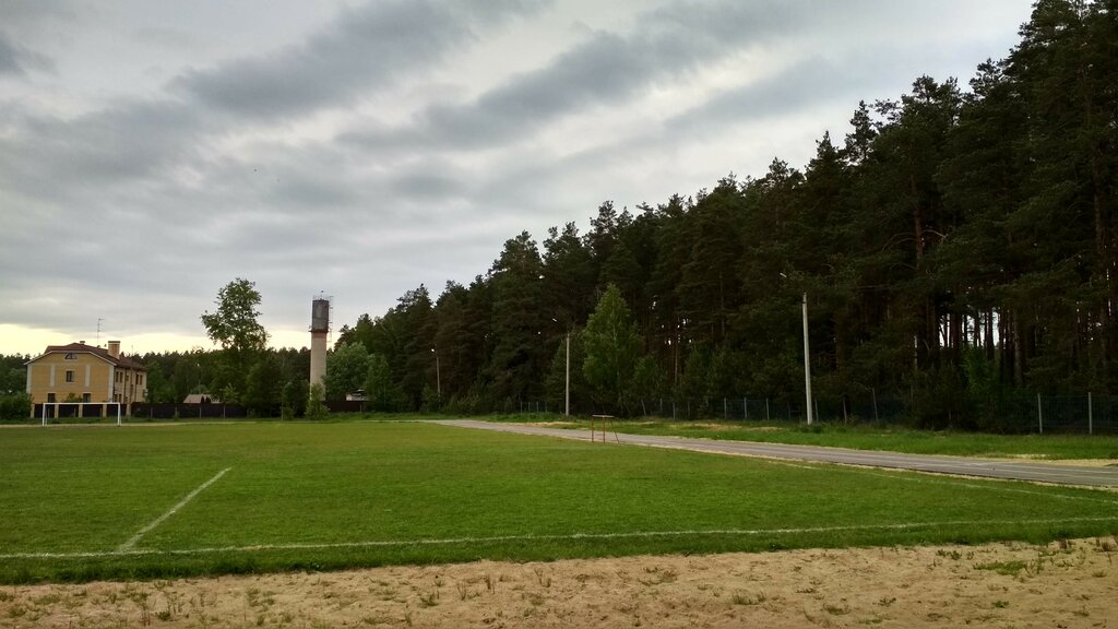 Stadyum Труд, Vladimirskaya oblastı, foto