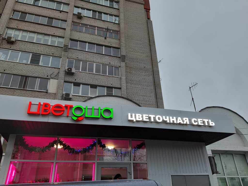 Çiçekçiler Цветоша, Podolsk, foto