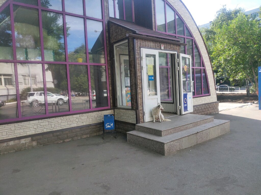 Market Бар Арка, Samara, foto