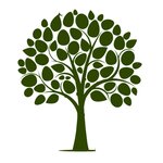 Waltree Nursery (Balıkesir, Bandırma, Kaşif Acar Cad., 58), fidan yetiştiriciliği  Bandırma'dan