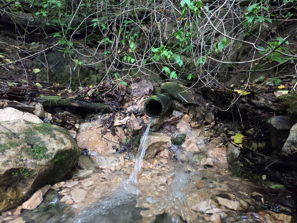 Pınar, çay Spring, stream, Tulskaya oblastı, foto