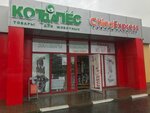 Кот да Пёс (Urozhaynaya ulitsa No:35А, mikrorayon Tavrovo-7, selo Tavrovo), petshop  Belgorodskaya oblastından