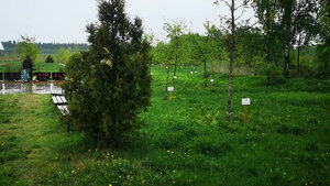 Парк Памяти (Vologda Region, Sheksninskiy rayon, selskoye poseleniye Churovskoye, derevnya Slizovo, Dyomsinskaya ulitsa), anıt, heykel  Vologodskaya oblastından