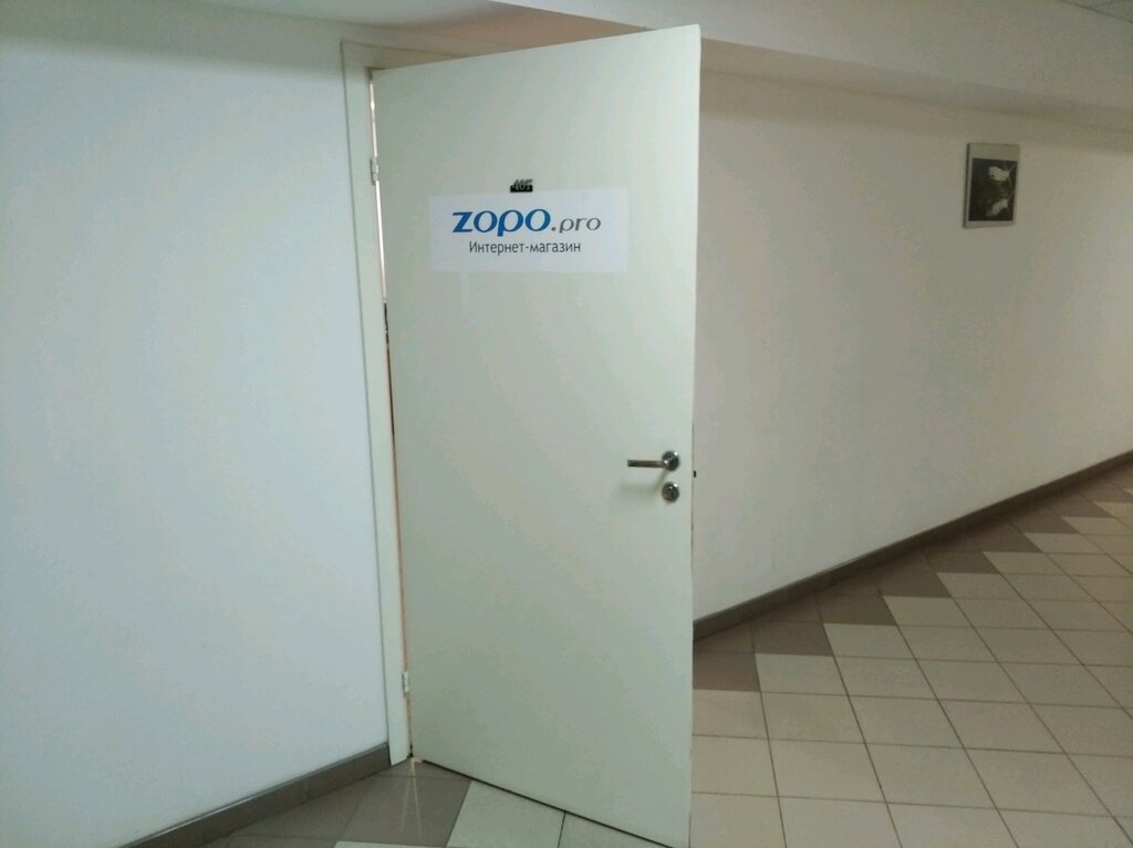Cep telefonu aksesuarları Internet-magazin Zopo. pro, Samara, foto