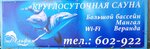Дельфин (Rakitnaya ulitsa No:4к2), saunalar  Irkutsk'tan