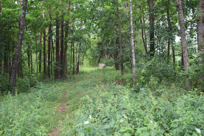 Anıt, heykel Павшим советским пограничникам 106-го погранотряда, Taurage Vilayeti, foto