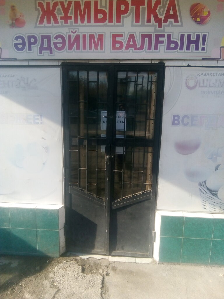 Kanatlı hayvan ürünleri ve yumurta Shymkent bird, Çimkent (Şımkent), foto