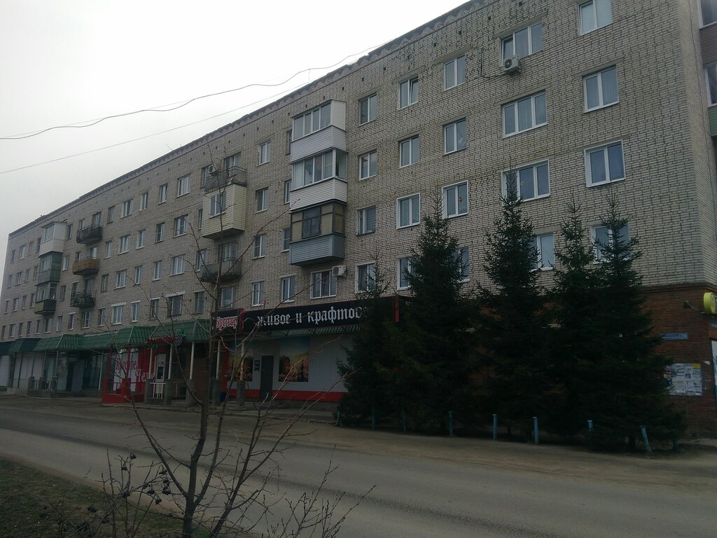 Market Krasnoe&Beloe, Aleksin, foto