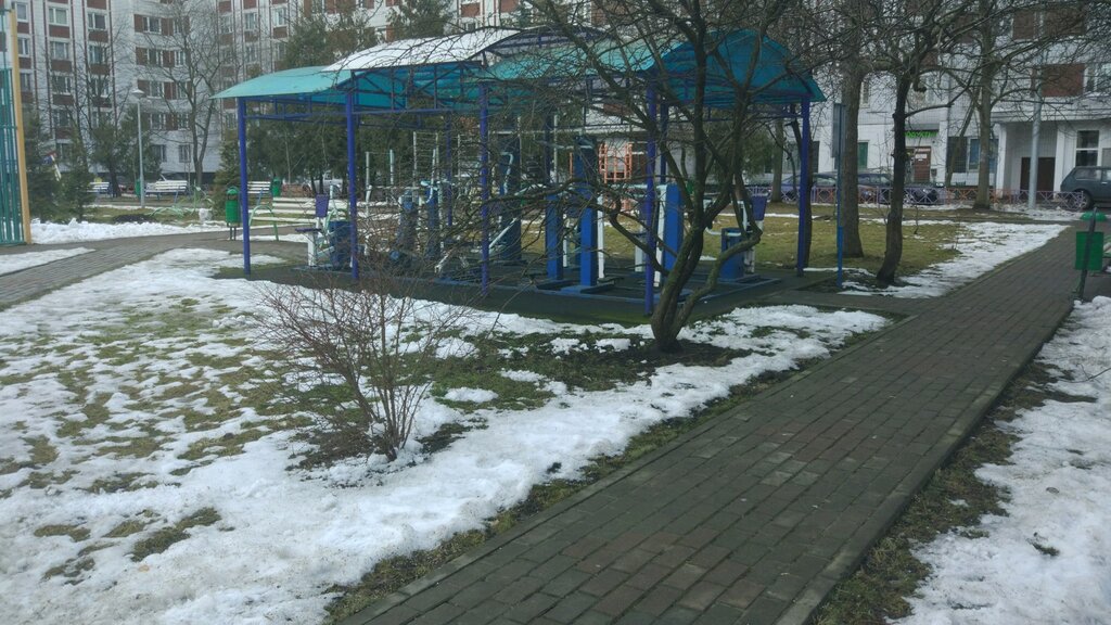 Spor alanı Спортплощадка, Moskova, foto
