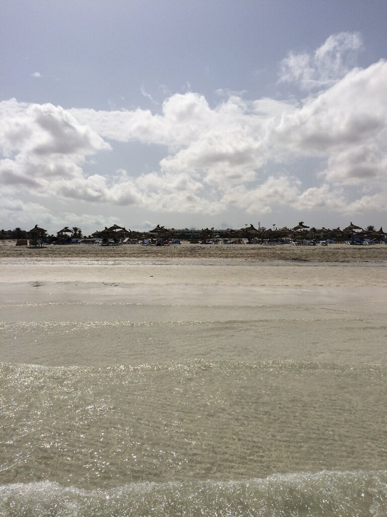 Plaj Пляж отеля Royal Garden Palace, Dünya, foto