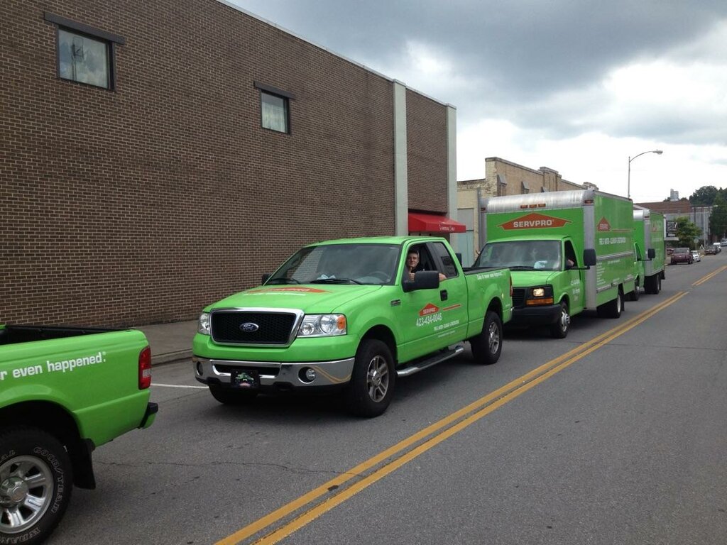 Halı yıkamacılar Servpro of Washington County, Tennessee Eyaleti, foto