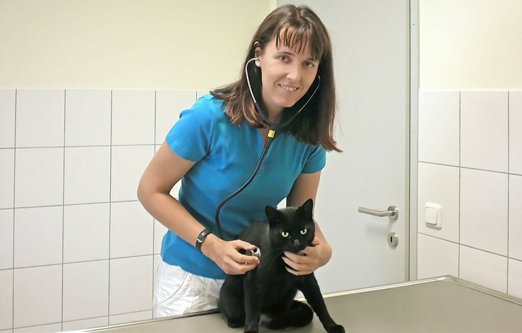 Veteriner klinikleri Kleintierordination - Dipl. Ta Petra Weiß, Yukarı Avusturya, foto