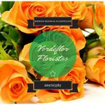 Verdeflor Floristas (Comunidad Autónoma de Valenciana, Castellón, Avenida Valencia, 10), çiçek teslimatı  Castellon de la Plana'dan