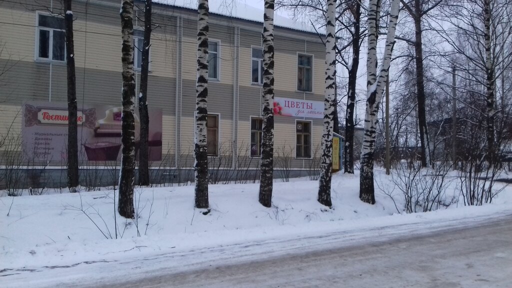 Çiçekçiler Цветы для любимых, Velsk, foto