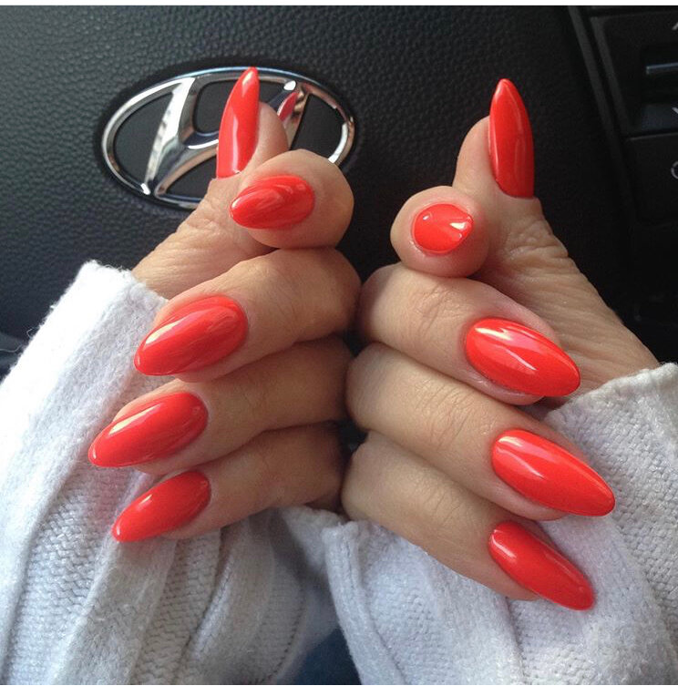 Güzellik salonu Мастерская Красоты, Krasnodar, foto