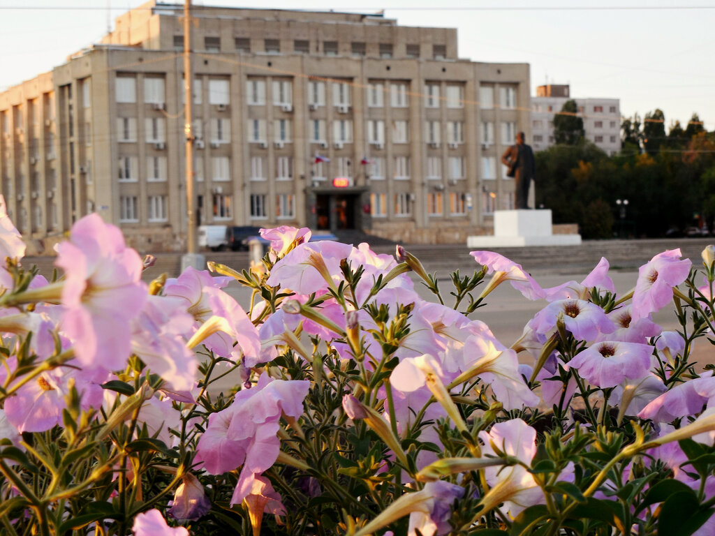 Belediyeler, devlet daireleri Administratsiya, Balakovo, foto