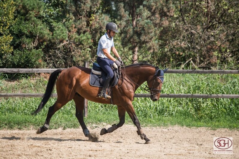 Otel San Giacomo Horses & Agriturismo, Lombardiya, foto