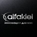 Alfakley (gorodskoy okrug Vladimir, Frunzenskiy City administrative district), yapıştırıcı üreticileri  Vladimir'den
