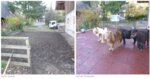 Talpa GmbH (Fribourg, See, Riedli, 2), i̇nşaat firmaları  Fribourg'dan