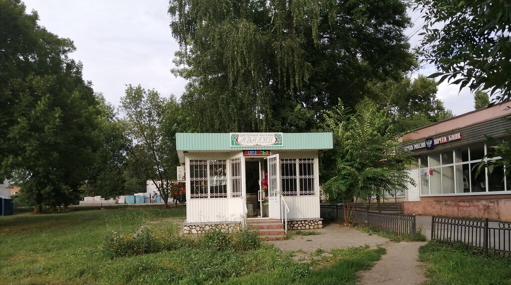 Çiçekçiler Азалия, Dankov, foto
