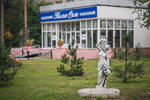 Malye Soli (No:1, territoriya sanatoriy Malyye Soli, posyolok pri profilaktorii Stroitel), otel  Yaroslavskaya oblastından