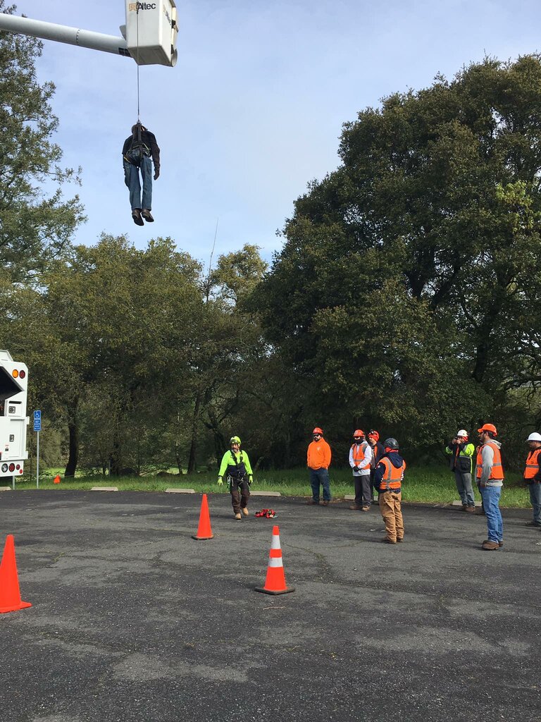 Bahçe ekipmanları ve teknolojileri Aaa Tree Service, Kaliforniya Eyaleti, foto
