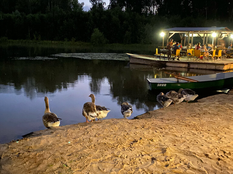 Kafe Гриль-бар Глушь, Kalujskaya oblastı, foto