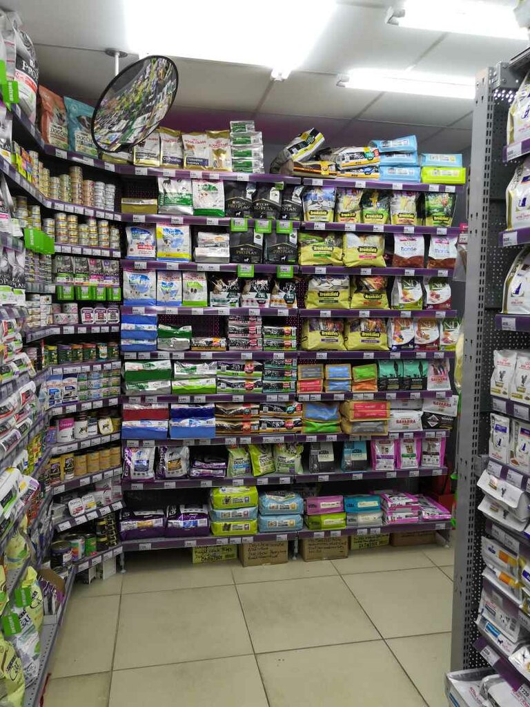 Petshop Mokryi nos, Krasnoyarsk, foto