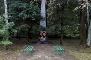 Anıt, heykel Обелиск в честь павших воинов, Kalujskaya oblastı, foto