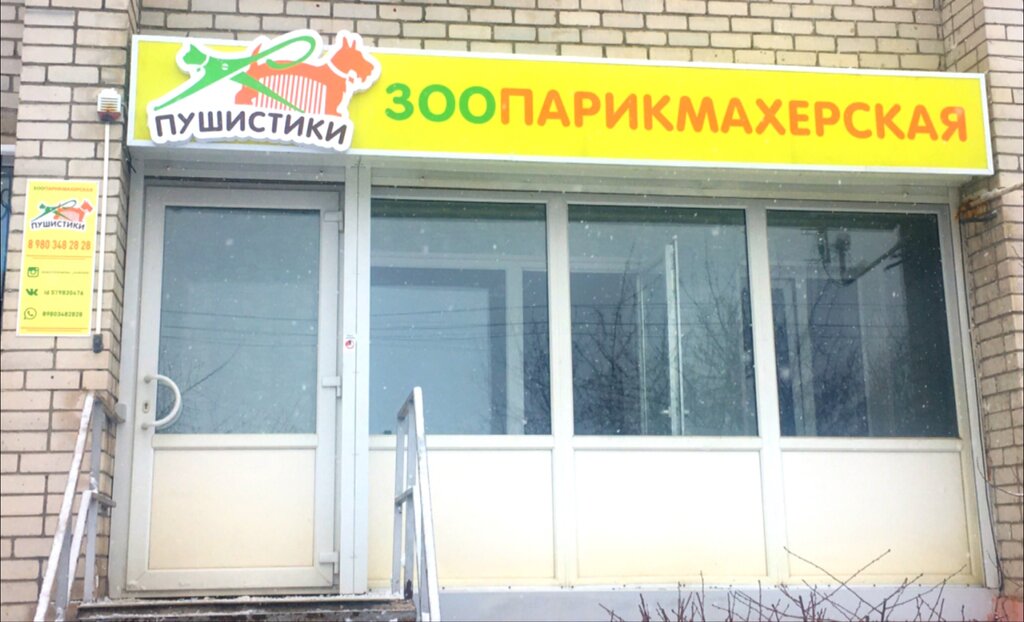 Evcil hayvan kuaförleri Pushistiki, Voronej, foto