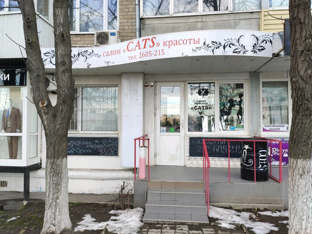 Güzellik salonu Cats, Rostov‑na‑Donu, foto