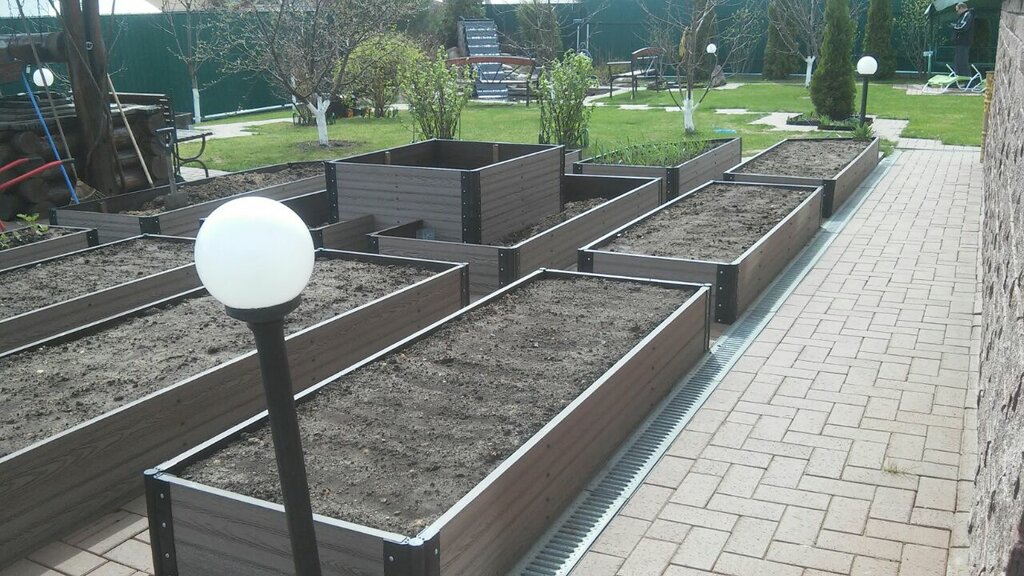 Bahçecilik mağazaları Vashadacha, Moskova, foto