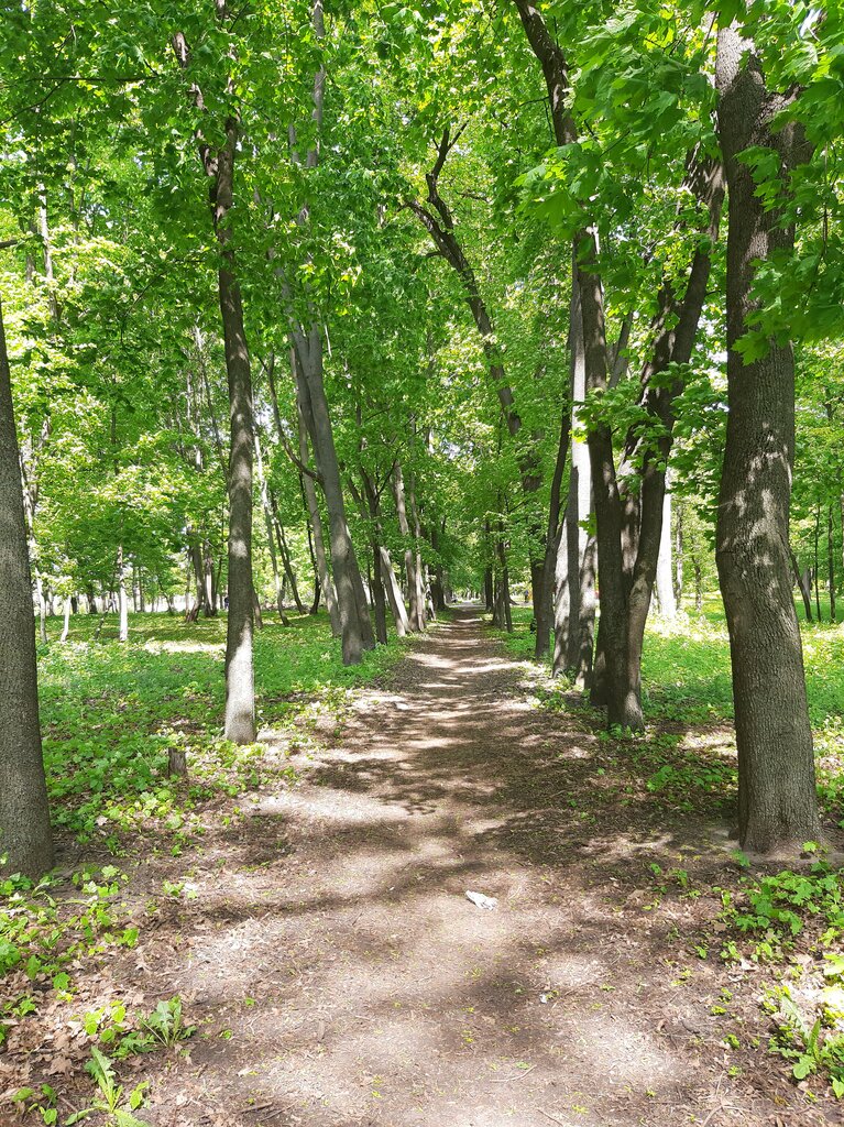 Doğa koruma alanı Южный парк, Tambov, foto