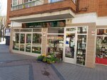 Floristería Edén (Calle de la Mariblanca No:16, Fuenlabrada, Móstoles), çiçek teslimatı  Madrid'den