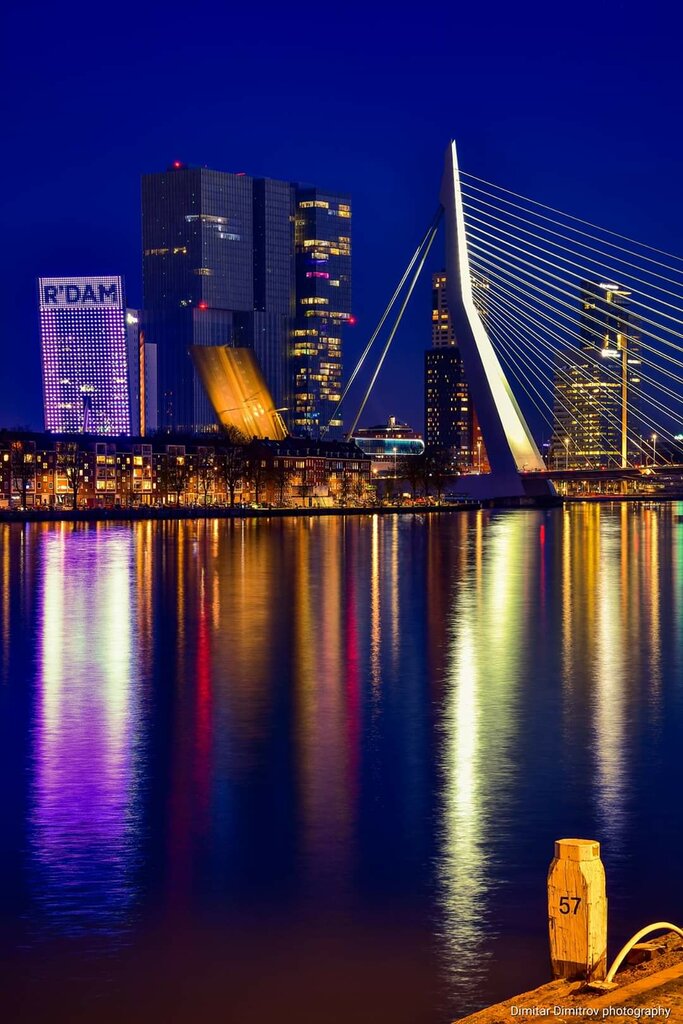 Emlak ofisi Holland real estate, , foto