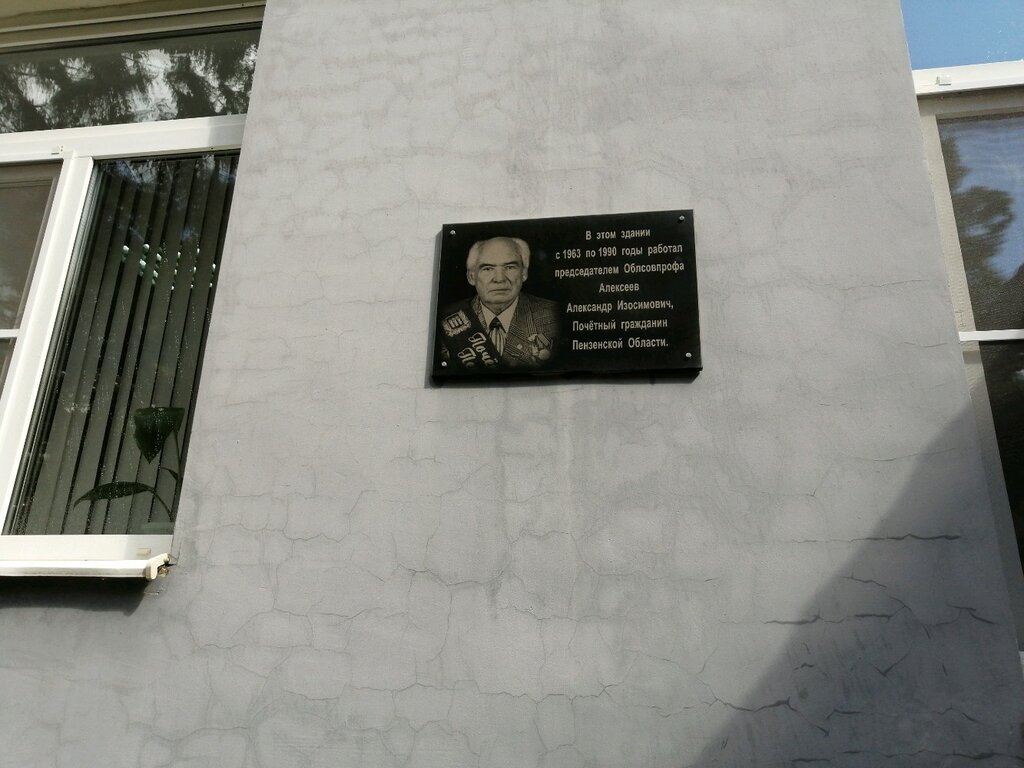 Anıt levhası, anıt taş A. Alekseyev, Penza, foto
