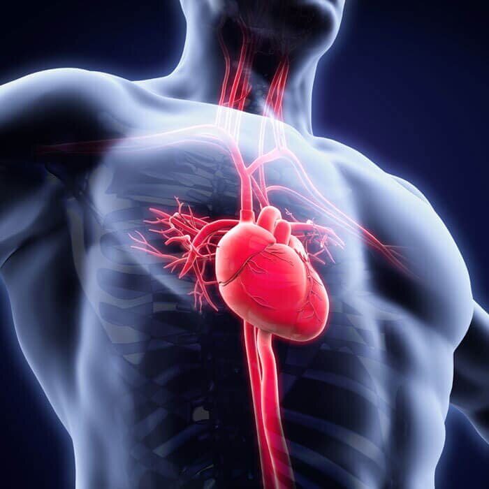 Tıp merkezleri ve klinikler Cardio Studio Motu Cordis, Uruapan, foto