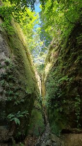 Wolf Gate Gorge (Krasnodar Territory, Severskiy rayon, Kaluzhskoye selskoye poseleniye), doğa  Krasnodarski krayından