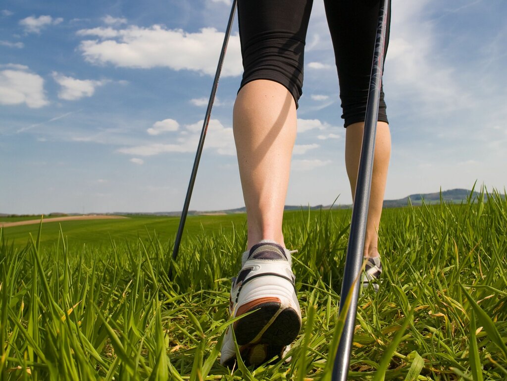 Fitness ve spor ekipmanı firmaları NordicStick, Moskova, foto