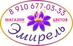 Emirel (ulitsa Selskaya Nov No:45, selo Filippovskoye), çiçekçiler  Vladimirskaya oblastından