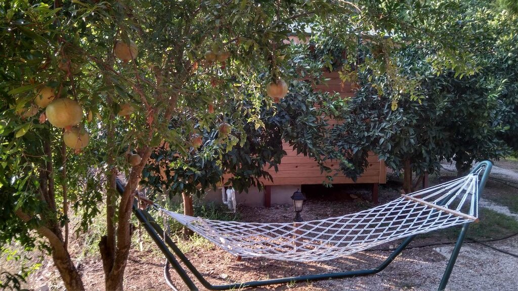 Otel Bungalow Halil, Kemer, foto