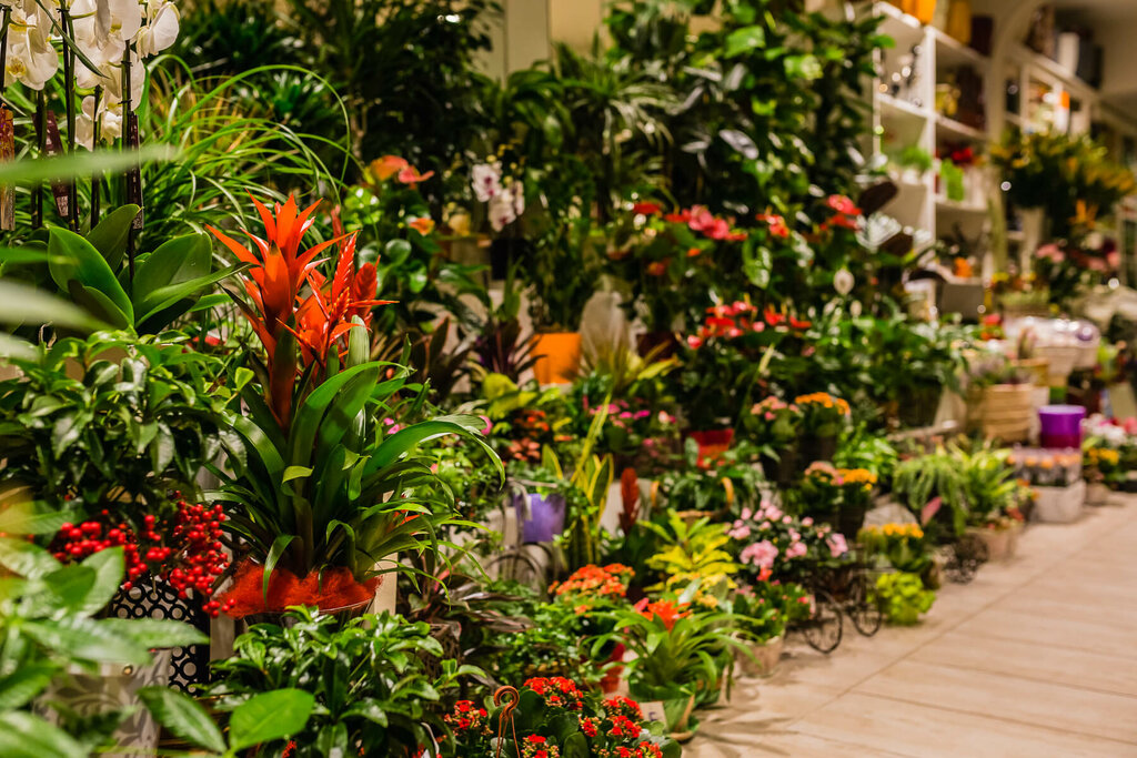 Çiçek teslimatı Floristería Cristiaran, Vitoria, foto