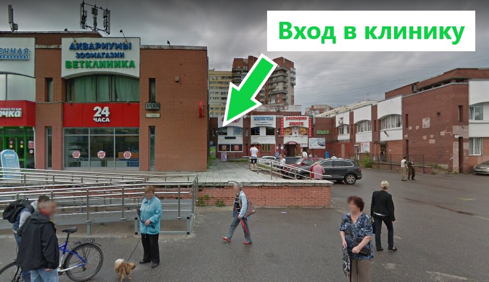 Veteriner klinikleri Polivet, Saint‑Petersburg, foto
