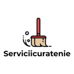 ServiciiCuratenieMD (strada Alexandru cel Bun No:49), temizlik şirketleri  Kişinev'den