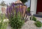 Bigler Gartenbau (Bern, Konolfingen, Spicherweg, 68), peyzaj tasarımı  Bern'den