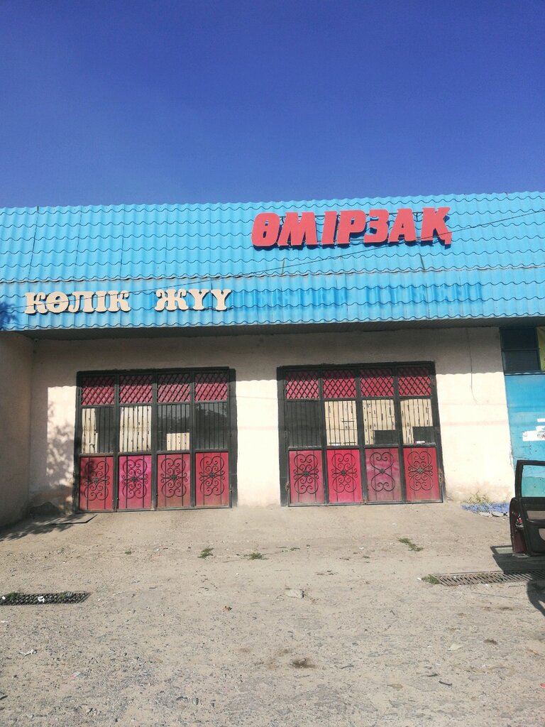 Oto yıkama Omirzak, Taraz, foto